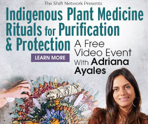 Indigenous Plant Medicine Rituals for Purification & Protection ...