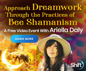 How to Approach Dreamwork Through the Practices of Bee Shamanism with ...