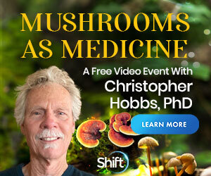 RSVP for Mushrooms as Medicine with Christopher Hobbs | Personal ...