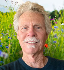 RSVP for Mushrooms as Medicine with Christopher Hobbs | Personal ...