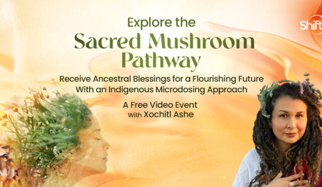Explore The Curative Power Of Sacred Mushrooms With An Indigenous ...